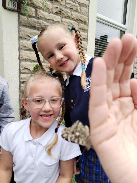 Park Primary School - Home